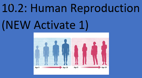 10.2 Human reproduction (NEW Activate 1) | Teaching Resources