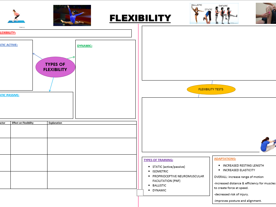 OCR A Level PE Exercise Physiology-aerobic capacity, strength and ...