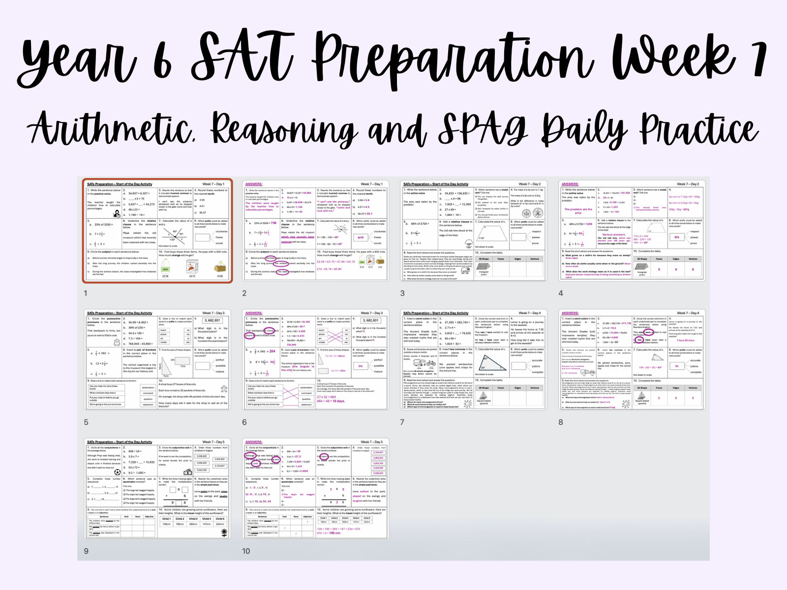 SATS Preparation Morning Activity - SPAG, Arithmetic and Reasoning ...
