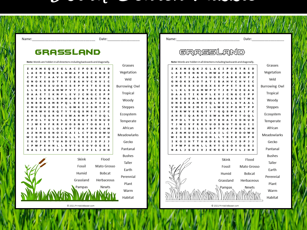 grassland-word-search-puzzle-teaching-resources