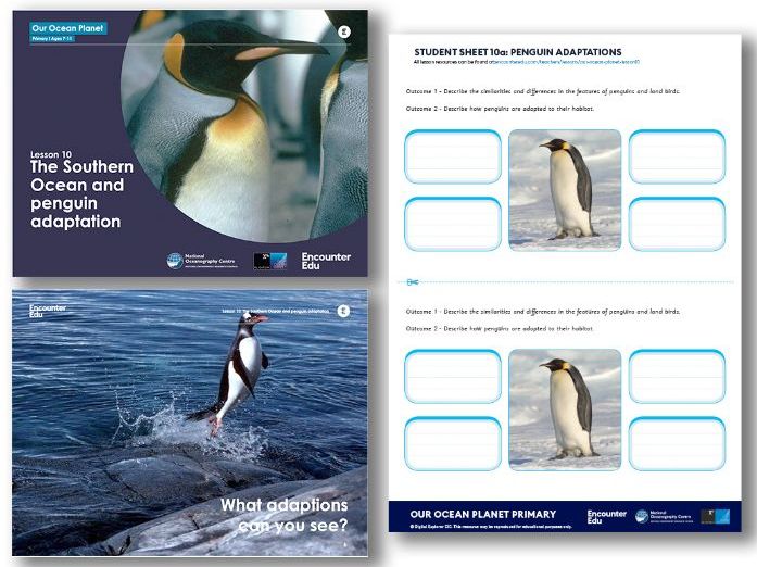 Adaptation in the Antarctic KS2 Science | Teaching Resources