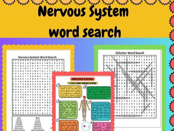 Human Body Systems | Nervous System | Facts and Word Search | Teaching ...