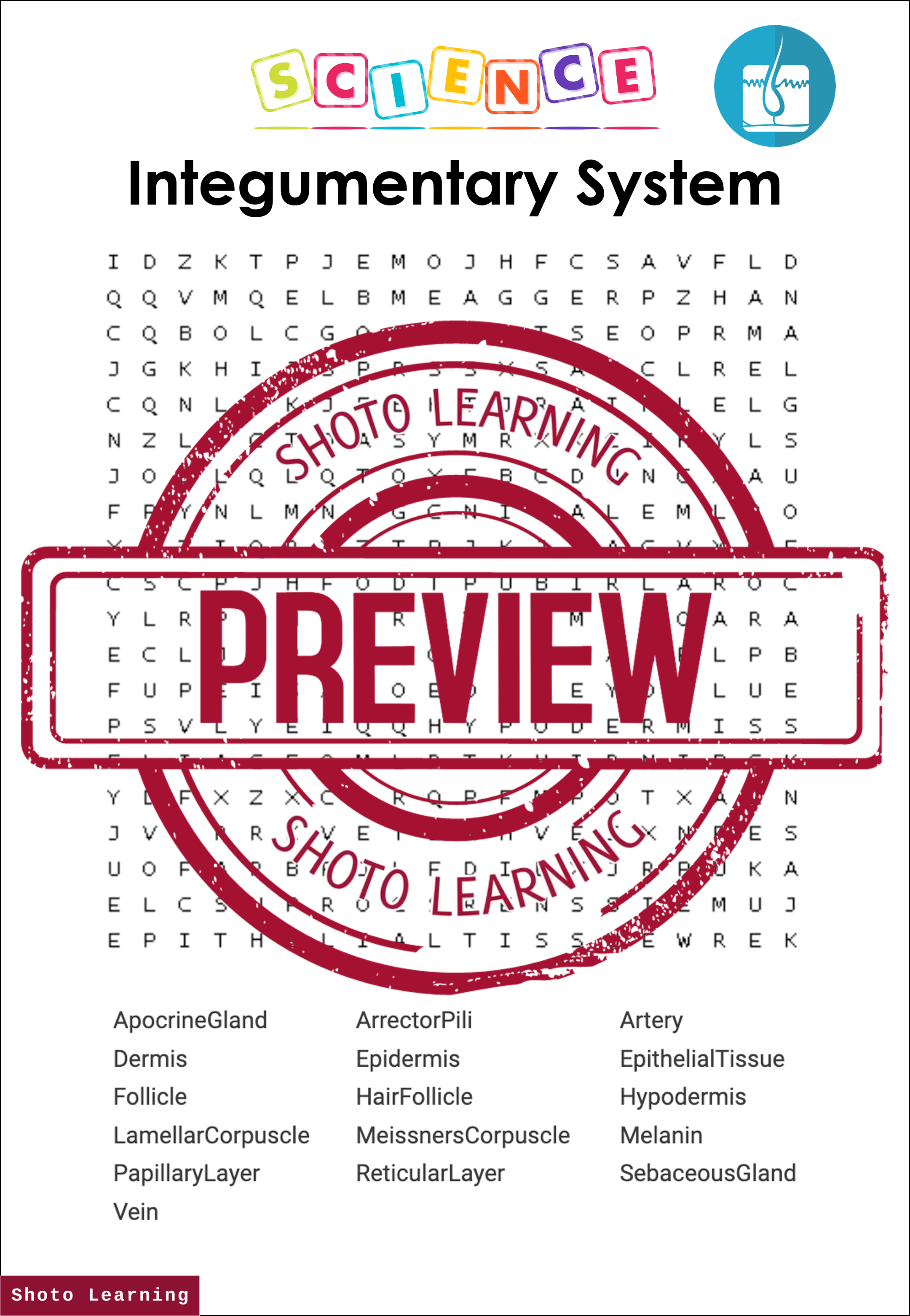 INTEGUMENTARY SYSTEM SCIENCE ACTIVITY - WORD FIND FINDER GAME ...