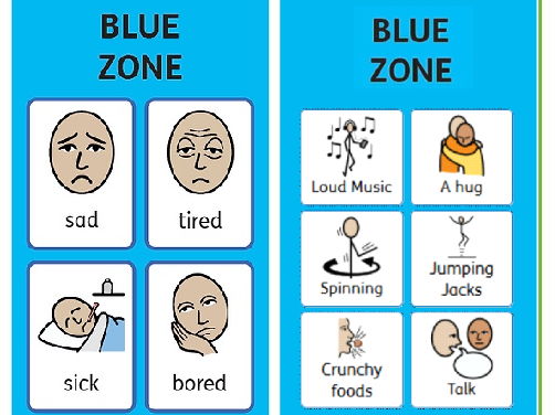 Regulation Zone Scale | Teaching Resources