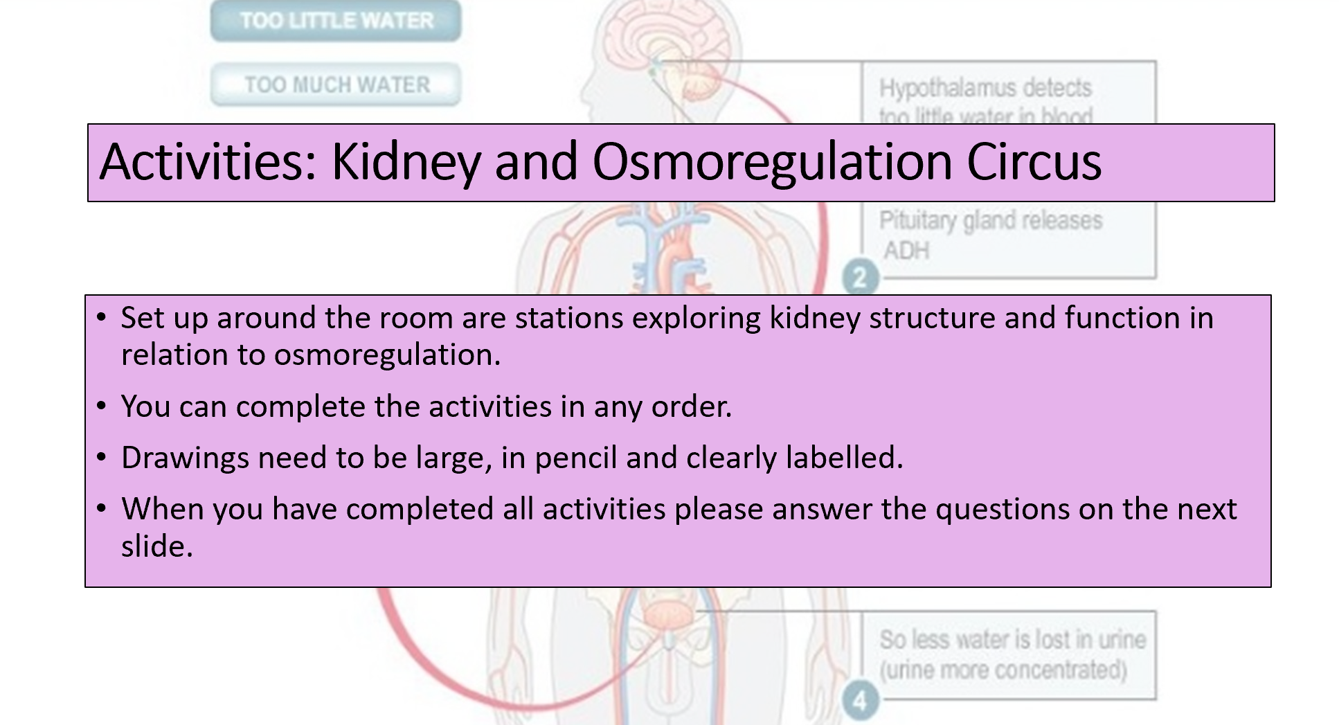 NEW: AAQ BTEC Medical Science Unit 1Bii Endocrine System - Lesson 5 ...