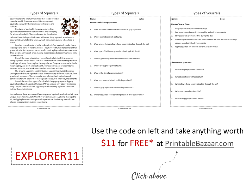 Types of Squirrels Reading Comprehension Passage Printable Worksheet ...
