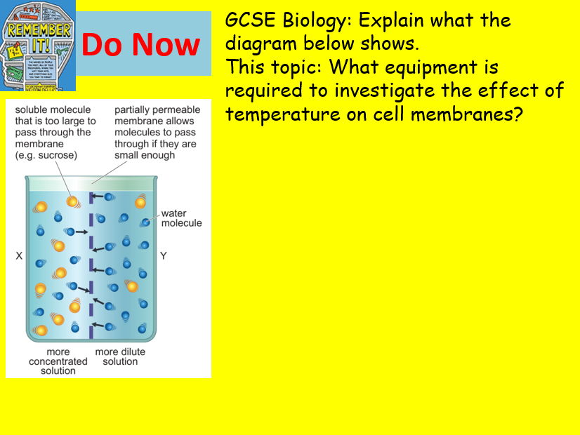 Edexcel A Level Biology Spec A Salters-Nuffield Topic 2 Genes and ...