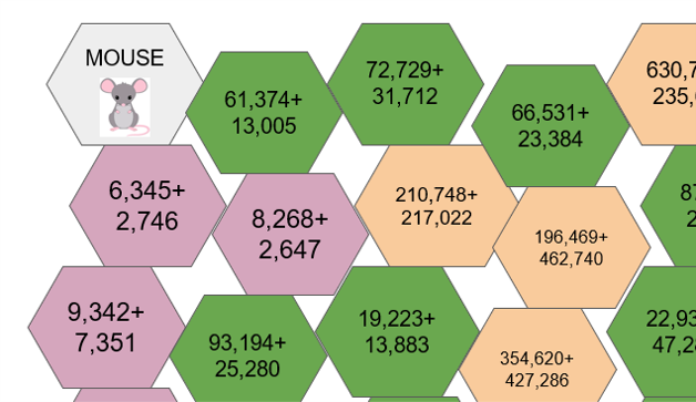 'Cat and Mouse' addition game | Teaching Resources