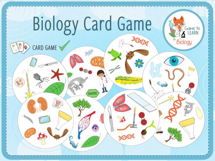 Biology - " Who can see it first?" Card Game (KS3/4/5) | Teaching Resources