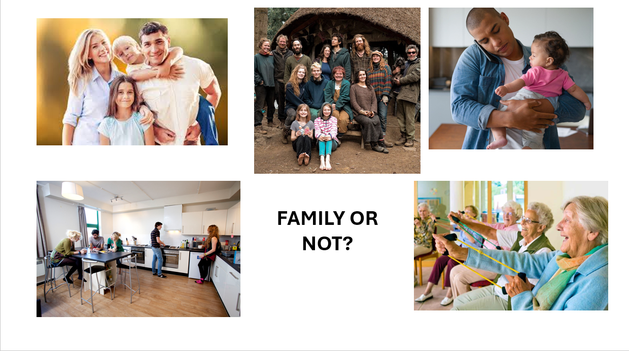 AQA GCSE Sociology: Alternatives to the family | Teaching Resources