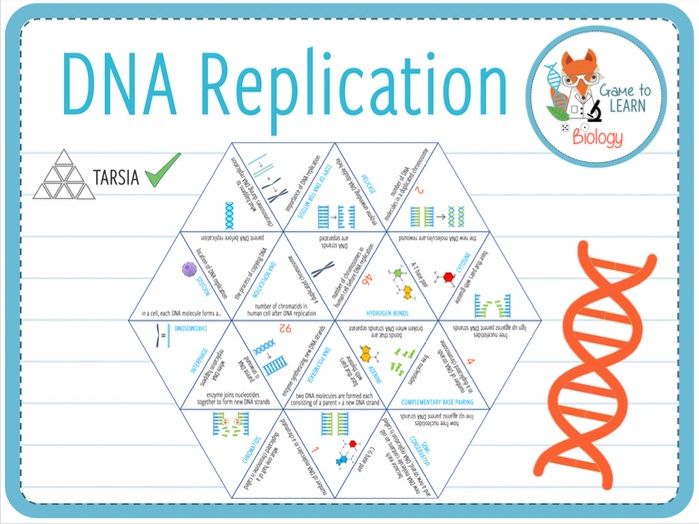 DNA replication - Tarsia (KS4/5) | Teaching Resources