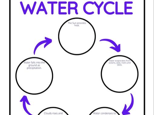 Illustrating the Water Cycle | Teaching Resources
