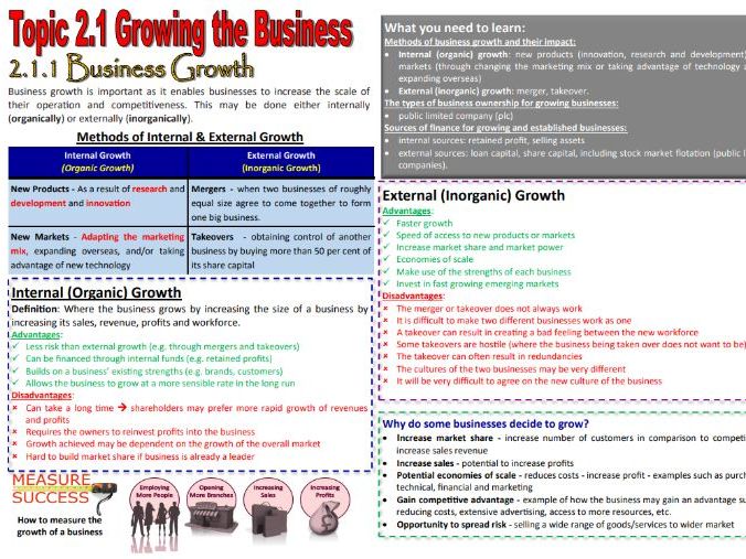 Edexcel GCSE Business Knowledge Organiser Theme 1 and Theme 2 ...