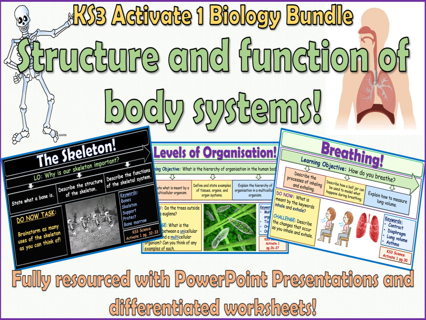 Structure And Function Of Body Systems Activate 1 KS3 Science Bundle