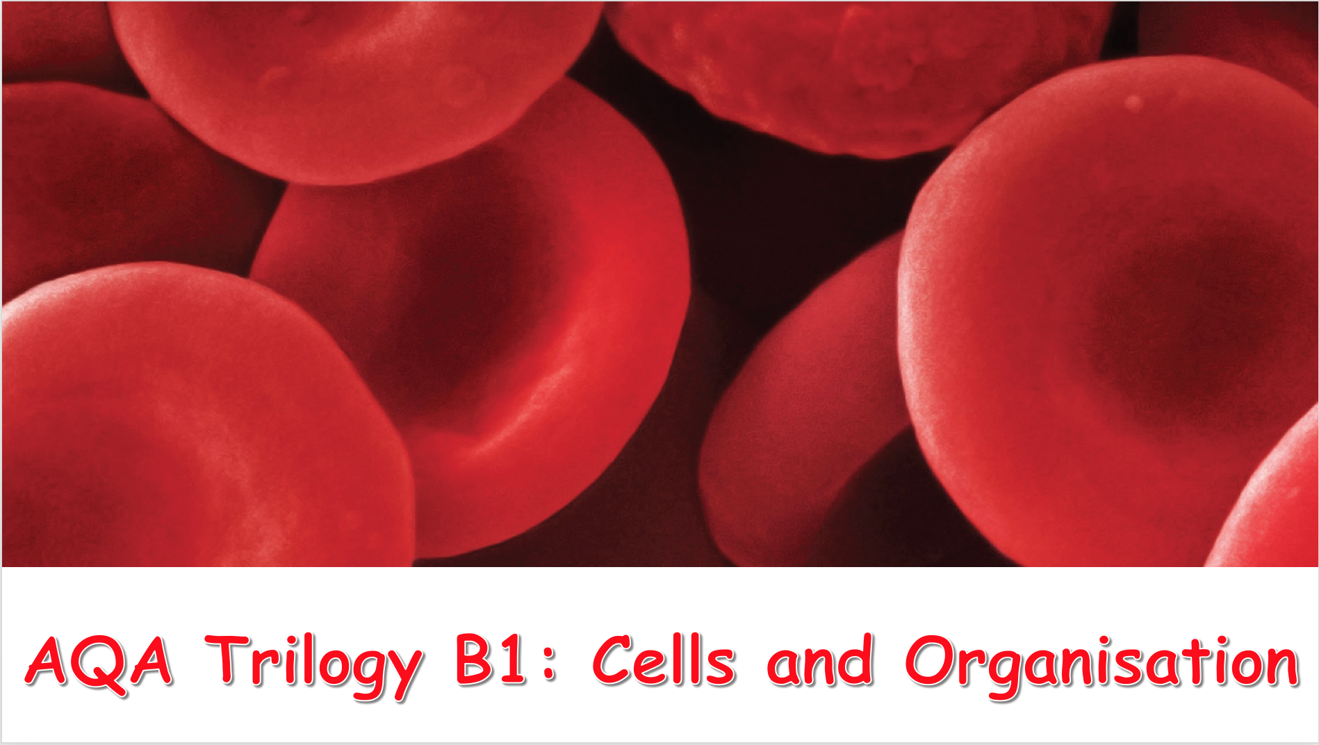 AQA Biology B1 Complete lessons | Teaching Resources