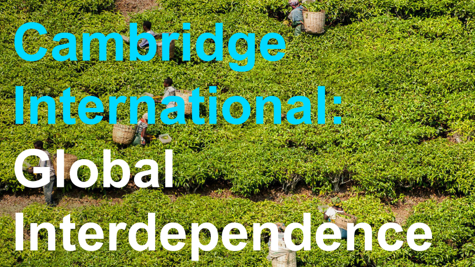 Global Interdependence Cambridge International | Teaching Resources