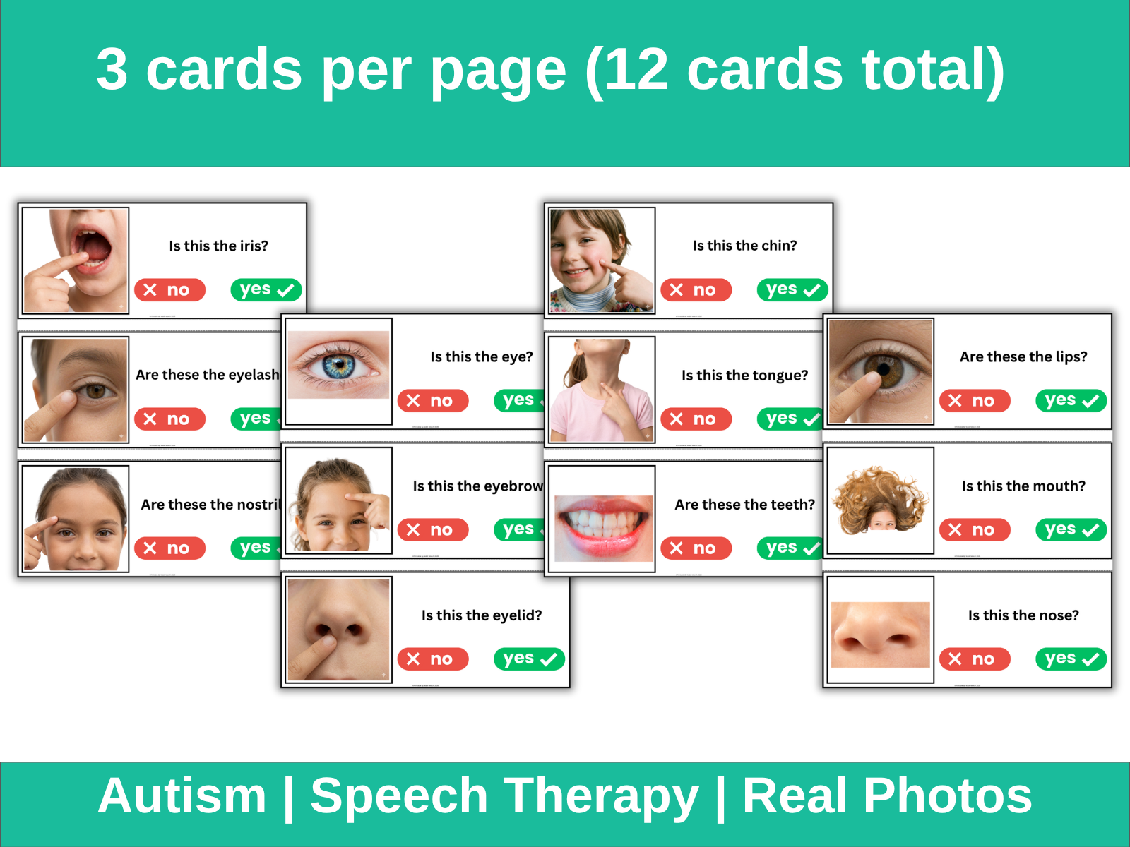 FREE Body Parts Yes/No Cards Autism | Teaching Resources