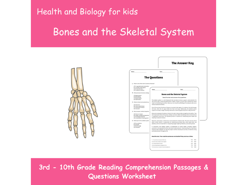 Bones and the Skeletal System Reading Comprehension Passages ...