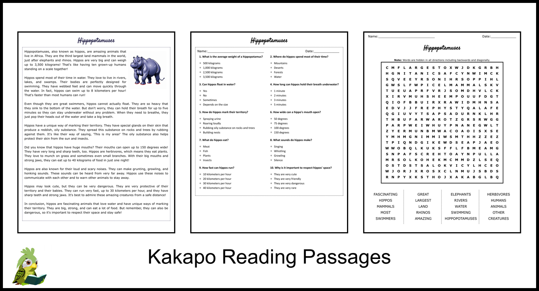 Hippopotamuses Reading Comprehension and Word Search | Teaching Resources