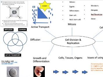 AQA Biology GCSE Cell Replication mind map | Teaching Resources