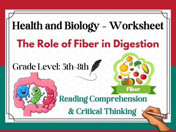The Role of Fiber in Digestion: Reading Comprehension Passages ...