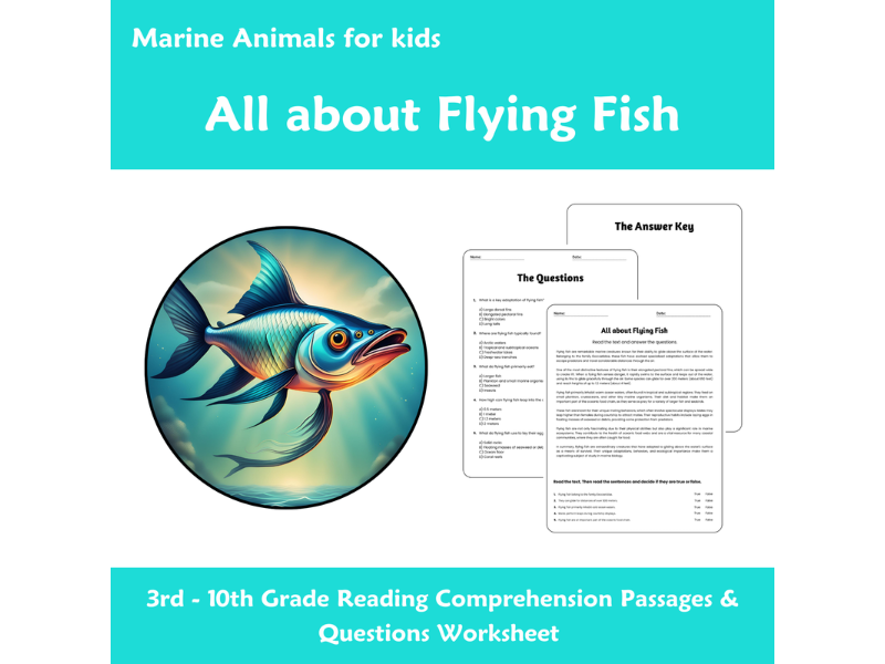 All About Flying Fish - Reading Comprehension Passages & Questions ...