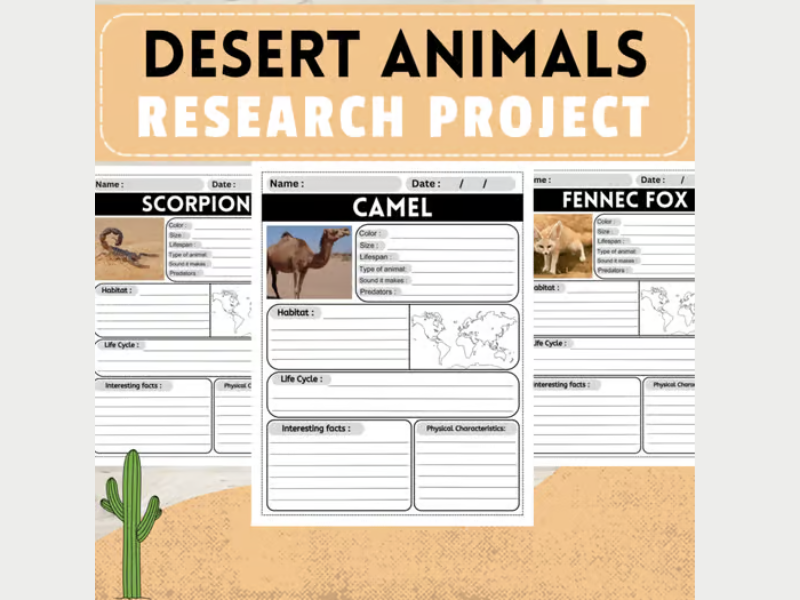 200 Animals Research Project Templates Bundle | Informational Report ...