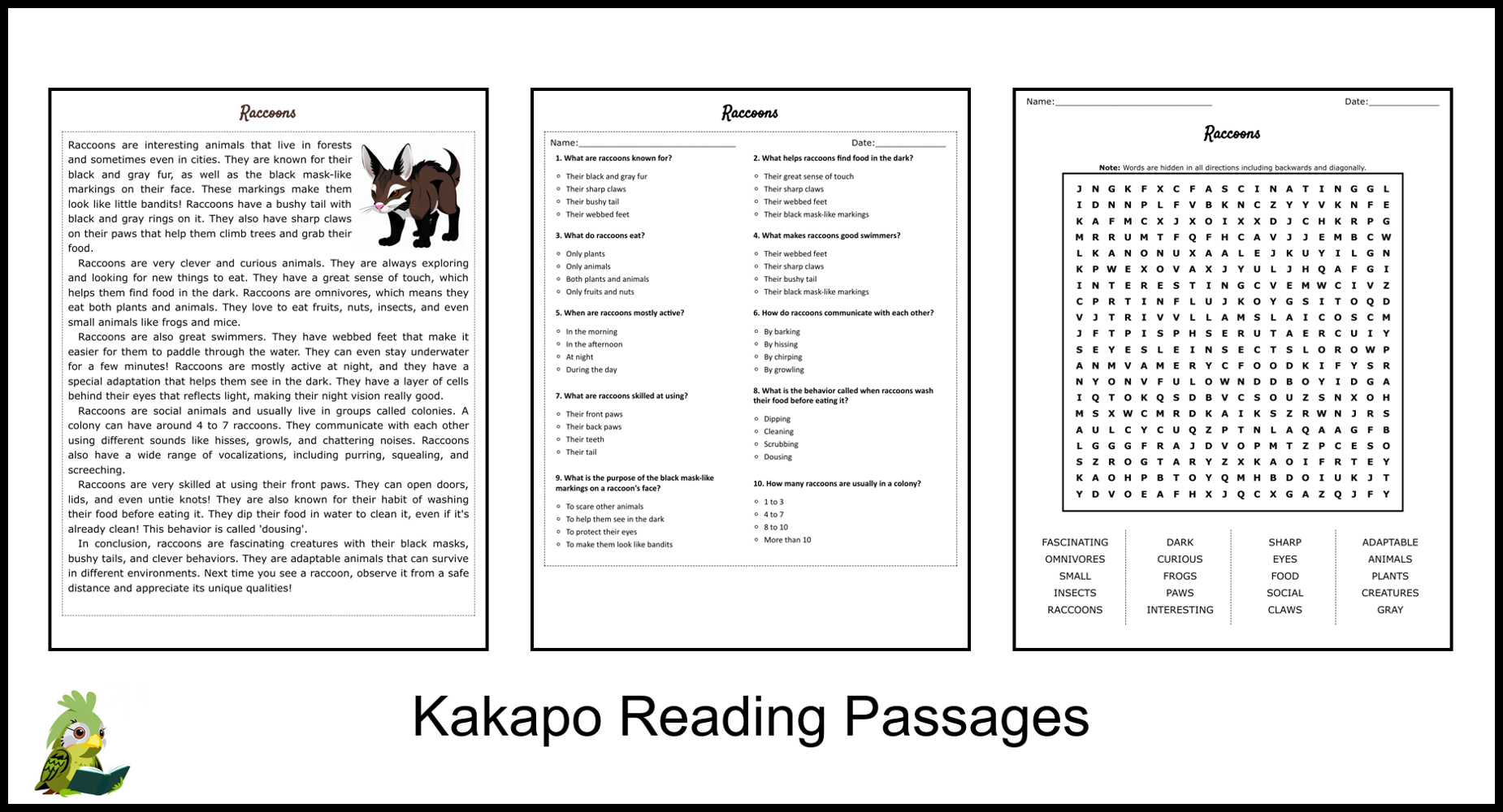 Raccoons Reading Comprehension and Word Search | Teaching Resources
