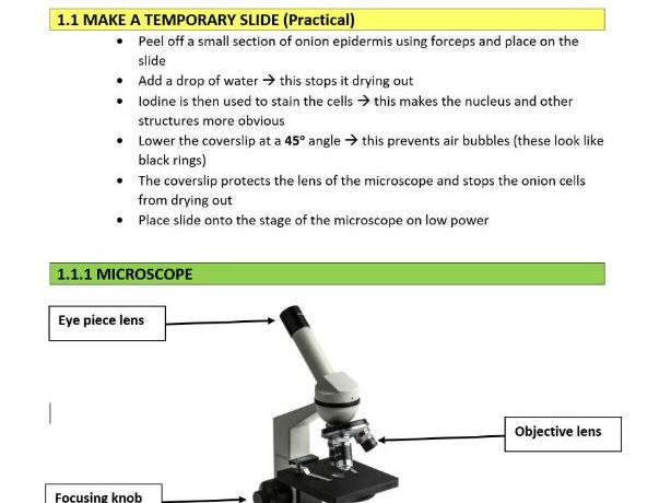 CCEA GCSE Biology Topic 1 Cells Summary | Teaching Resources