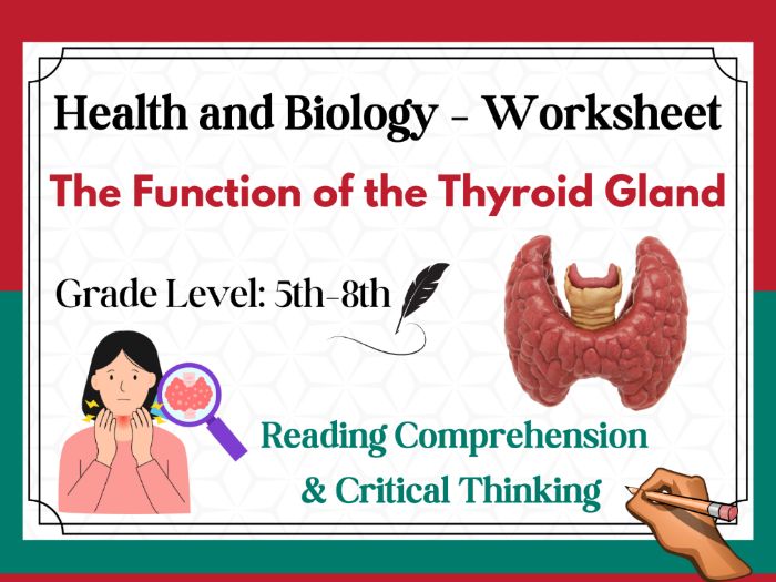 The Function of the Thyroid Gland: Reading Comprehension Passages ...