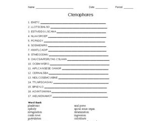 The Ctenophores Word Scramble for Invertebrate Biology | Teaching Resources