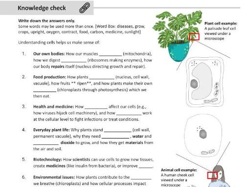 GCSE Plant and Animal Cells | Teaching Resources