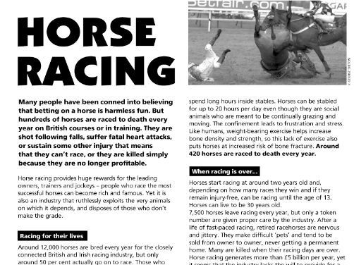Horse racing and greyhound racing factsheet | Teaching Resources