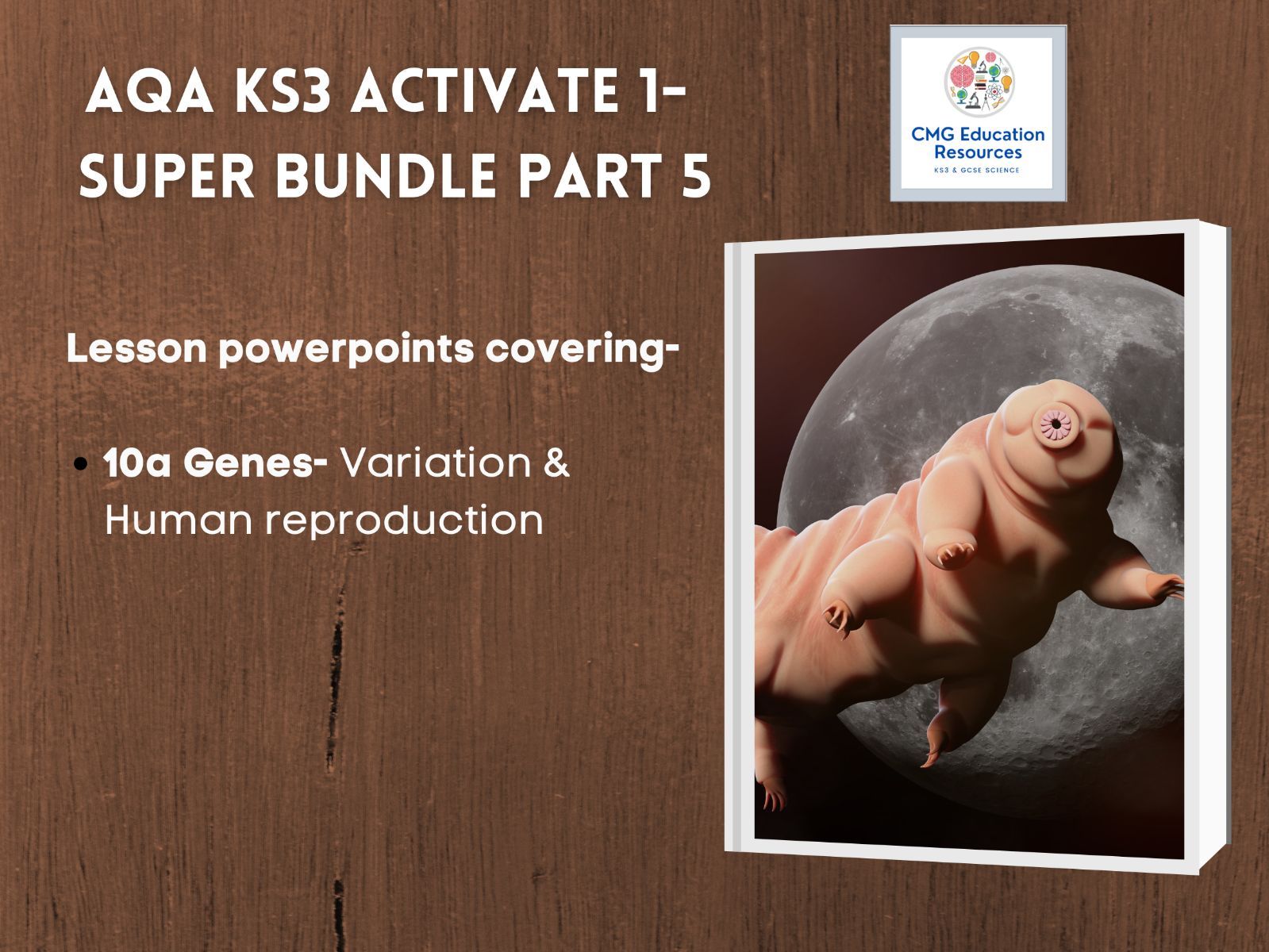 Activate 1- Super bundle part 5/5 | Teaching Resources