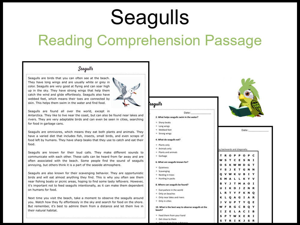 Seagulls Reading Comprehension and Word Search | Teaching Resources
