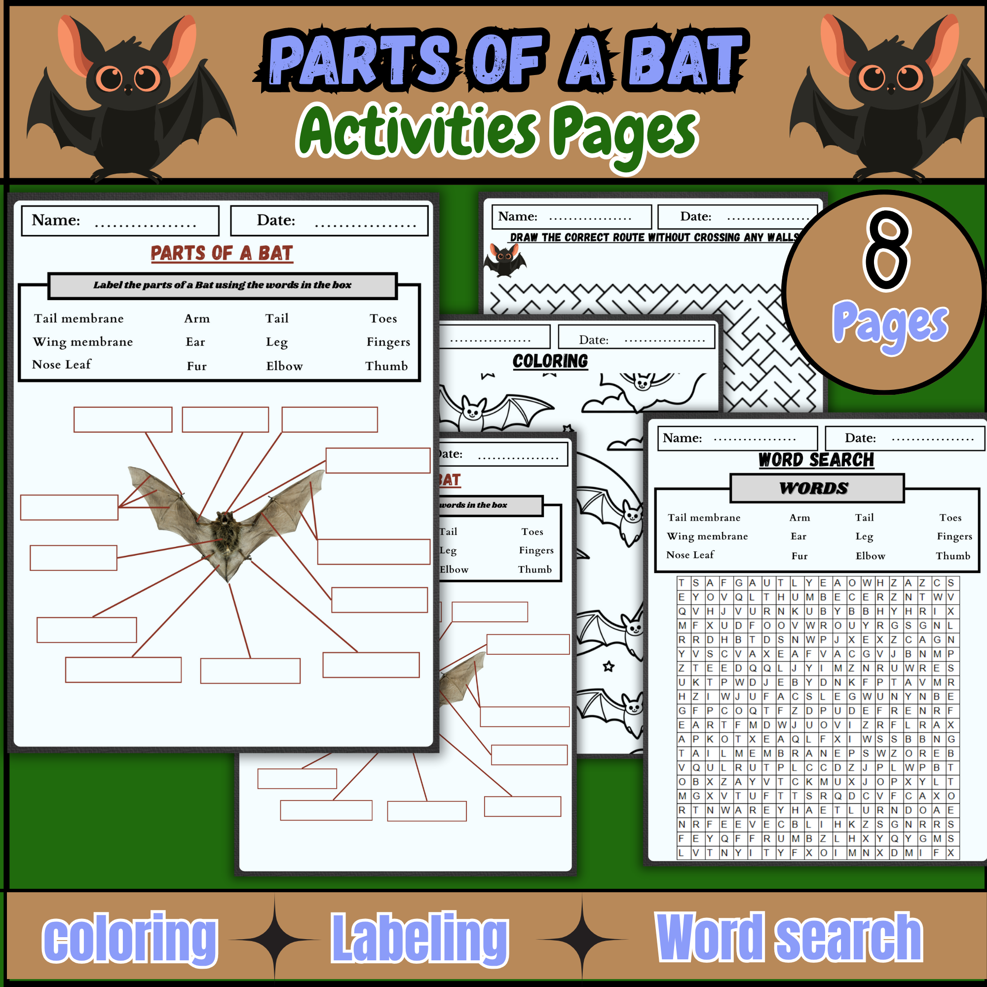Parts of a Bat – Bat Worksheets | Teaching Resources