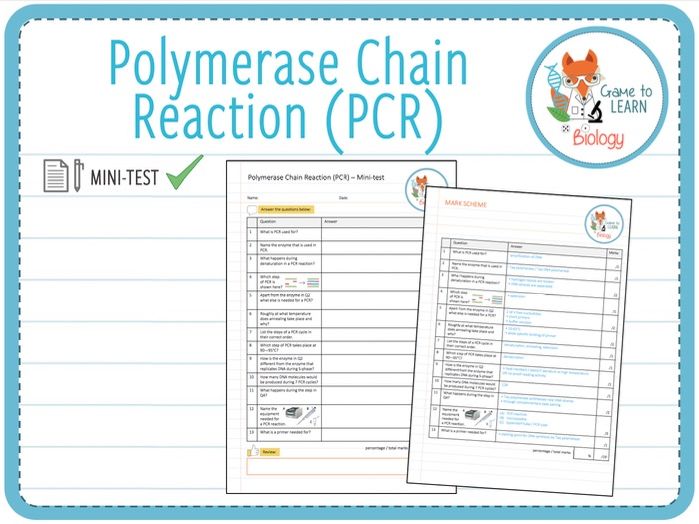 Polymerase Chain Reaction (PCR) - Mini-test (KS5) | Teaching Resources