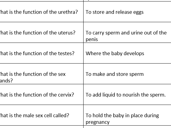 Sexual Reproduction Loop Game | Teaching Resources