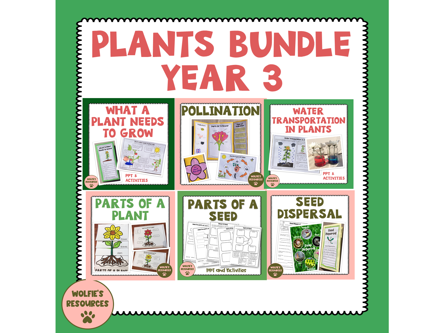 Plant Worksheets and Projects: Primary Science Teaching Resources ǀ Tes
