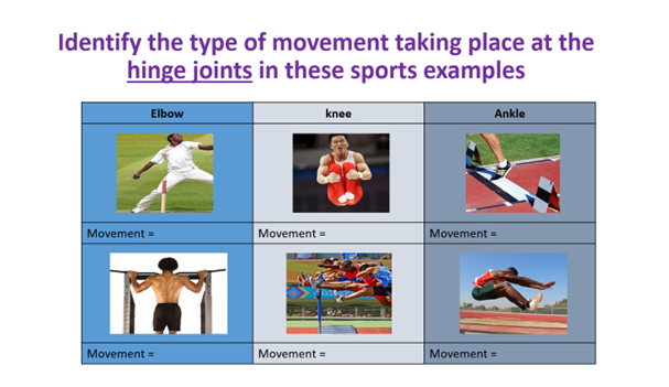 GCSE PE AQA Movement Analysis Workbook, Answer Booklet and PowePoints ...