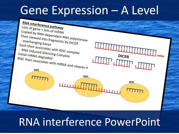 Traine23's Shop - Teaching Resources - TES