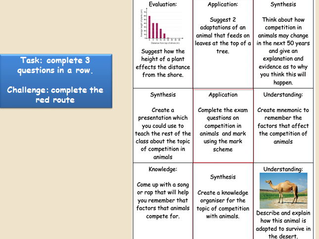 GCSE AQA B15 Adaptation and interdependence ppts, exam questions and ...