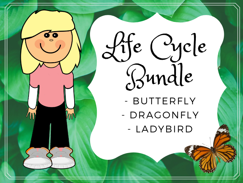 Insect Life Cycle PowerPoints KS2 by Gdwaters1 | Teaching Resources