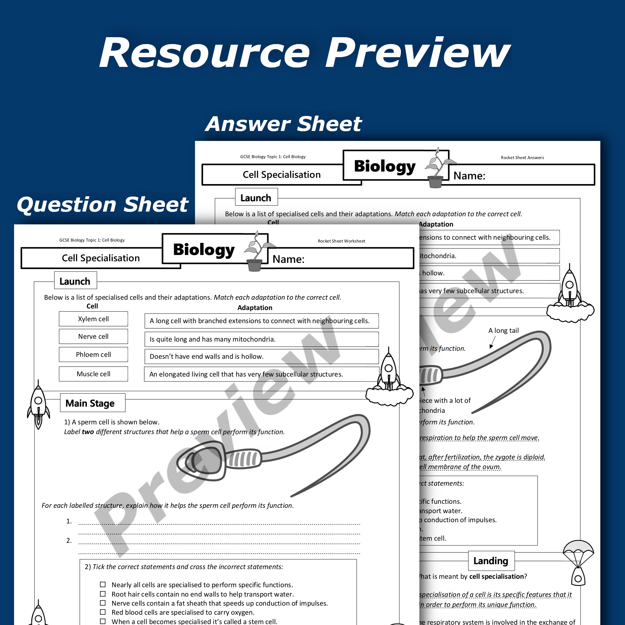 Cell Specialisation Home Learning Worksheet GCSE | Teaching Resources