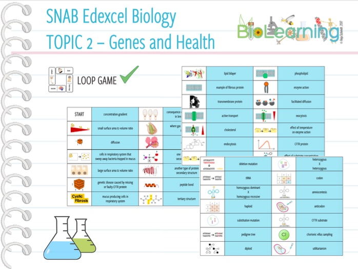 SNAB Biology Topics 1-4 - Loop Games | Teaching Resources