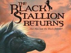 Reading Comprehension- The Black Stallion #2- The Black Stallion ...