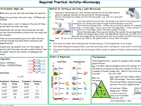 Microscopy Required Practical Knowledge Organiser AQA 9-1 GCSE ... Microscopy Required Practical Knowledge Organiser AQA 9-1 GCSE ...