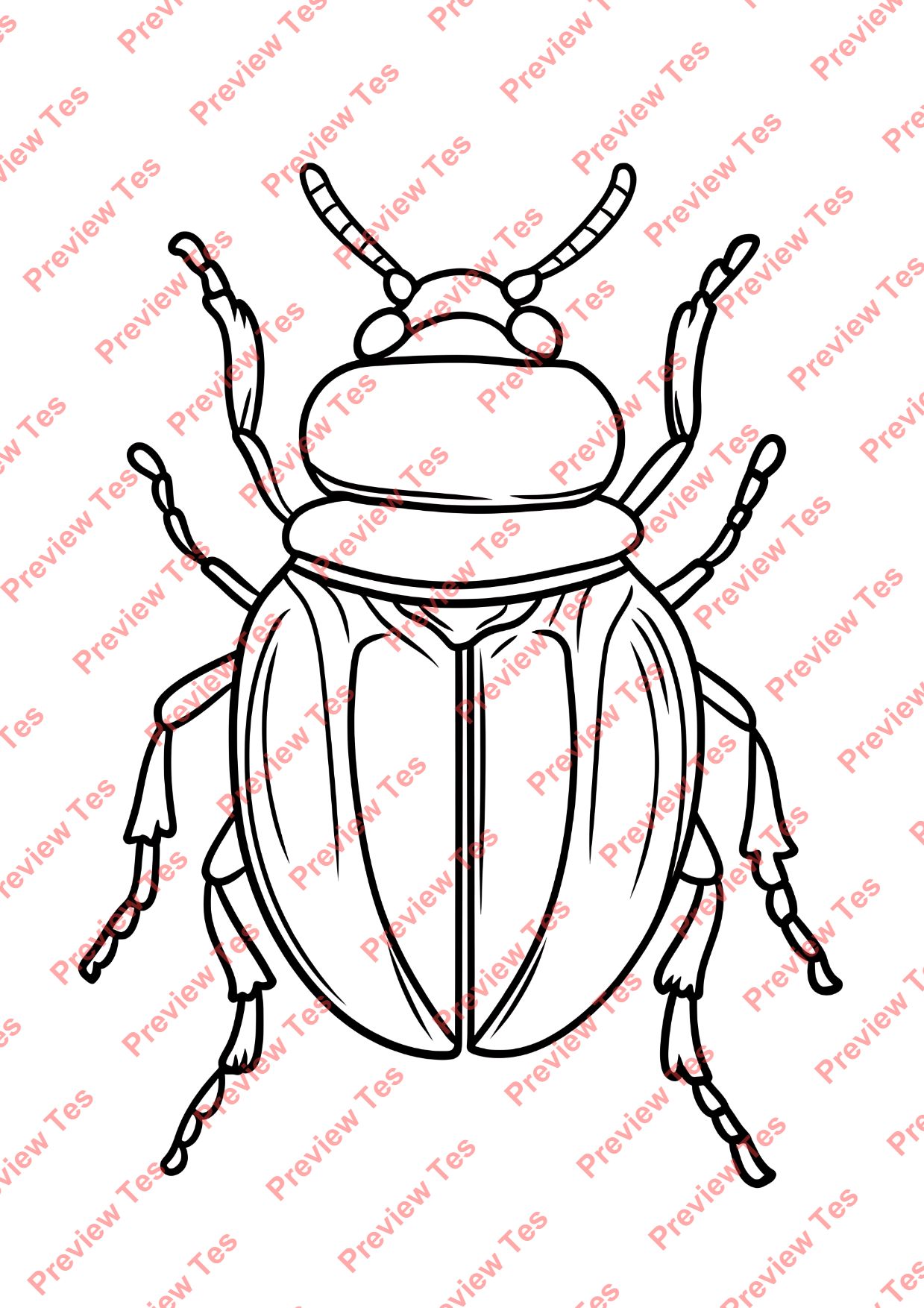 Insect Colouring Pages - Creepy Crawlies Worksheets | Nature Study Art ...
