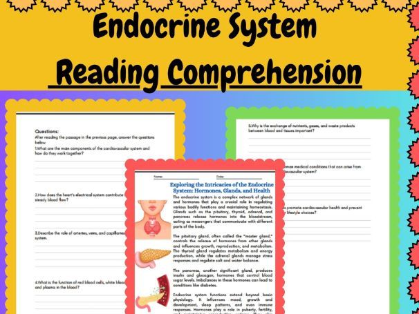 Human Body Systems | Endocrine System | Reading Comprehension ...