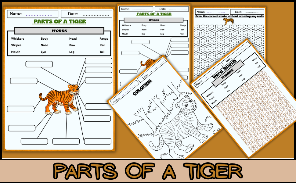 Parts of a Tiger | Animal Labeling Worksheet, Word Search, Coloring ...